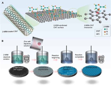 Schematic Illustration Of Synthesis Strategy Using 2 Mim Anchored Cnt Download Scientific