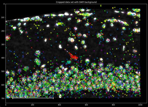 Tutorial 2 Pixel Map Integration Plankton Py 0 1 0 Documentation