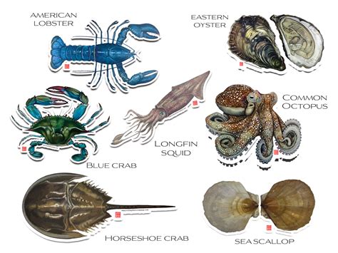 Shellfish Stickers — Waquoit Bay Fish Company