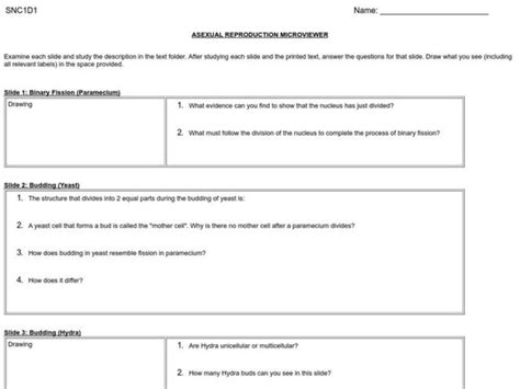 Asexual Reproduction Worksheet For 10th Higher Ed Lesson Planet