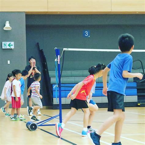 天照羽毛球會 天照羽毛球會於2010年創辦，至今已有多年開辦羽毛球訓練班經驗，球會分基礎班、初級班、中級班、高級班