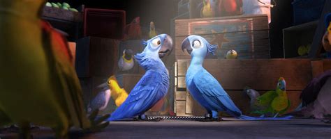 Rio The Movie 3d Tickets And Showtimes Fandango