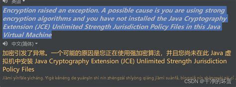 【jasypt】you Have Not Installed The Java Cryptography Extension Jce Unlimited Strength