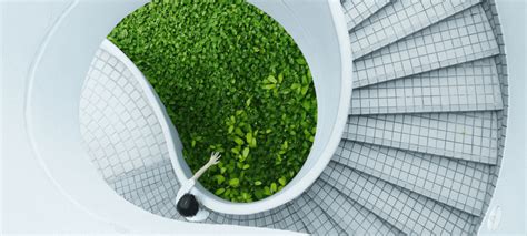 What Is A Naturalistic Fallacy The Ethics Centre Article