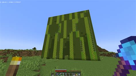 I Built The Worlds Biggest Melon If You Look It Up Nothing Comes Up So