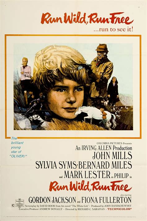 Run Wild Run Free 1969 Imdb