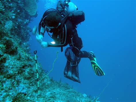 Internal Wave Ocean Ecol Wyatt Lab