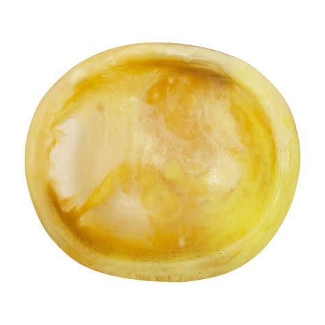 Sage X Clare Astrid Tiny Bowl Yuzu I Nimki