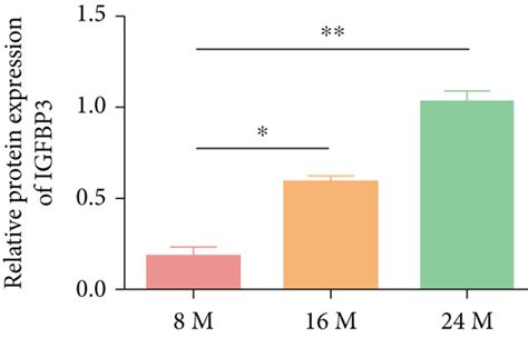Verification Of Hub Gene Expression A B Immunofluorescence Of