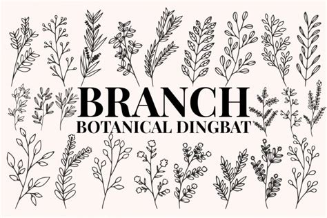 Branch Font Download Dingbat Fonts Free Fonts For Cricut Free Fonts