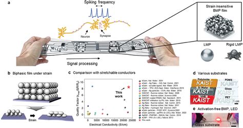 Strain‐insensitive Bmp Film And Its Characteristics A Schematic