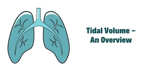 Tidal Volume An Overview