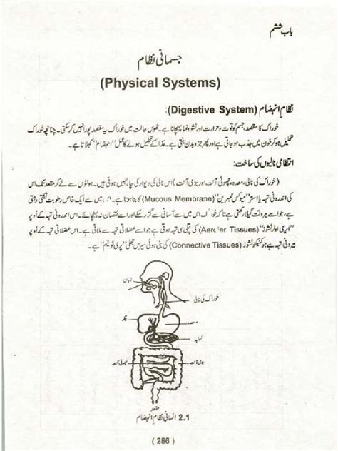 12th class physical education chapter 1 part 2 pdf