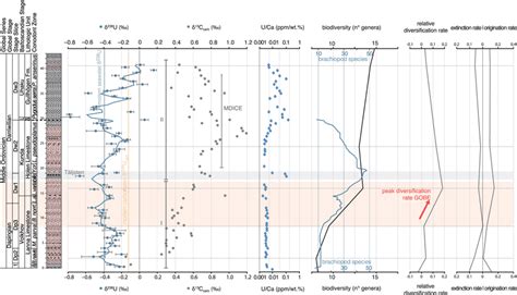 Geochemical Results Compared To Published Biodiversity Download
