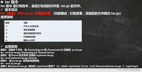【linux第9章实操篇】实用指令 Csdn博客