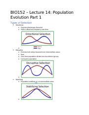 Understanding Population Evolution Types Of Selection And Course Hero