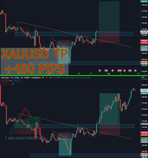 Forex And Gold Trading Signals