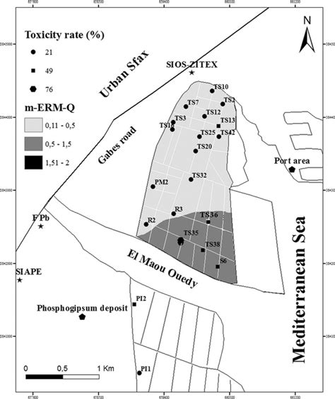 spatial distribution map of m erm q quotient values and corresponding