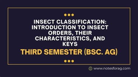 Insect Classification Introduction To Insect Orders Their Characteristics And Keys Notes For AG