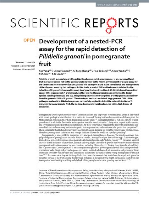Developmentofanested Pcrassayfortherapidde Pdf Polymerase