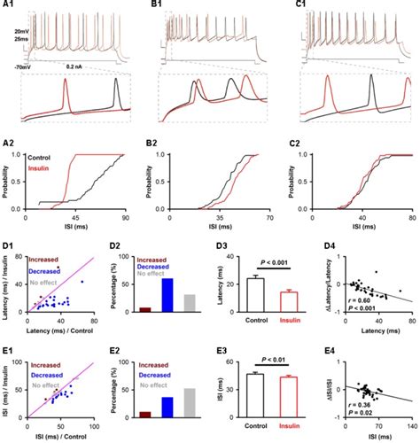 Insulin Modulates Neural Activity Of Pyramidal Neurons In The Anterior