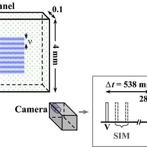 Sketch Of Experimental Setup The Coordinate Axes Only Denote