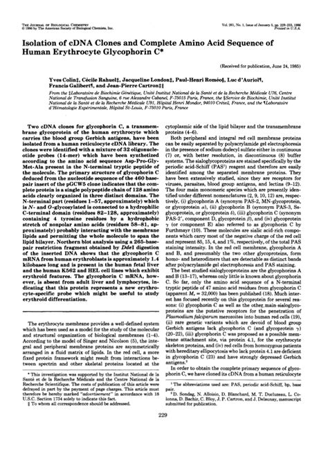 Pdf Isolation Of Cdna Clones Of Human Erythrocyte Glycophorin C