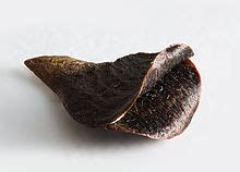 Seed Separator Wikipedia