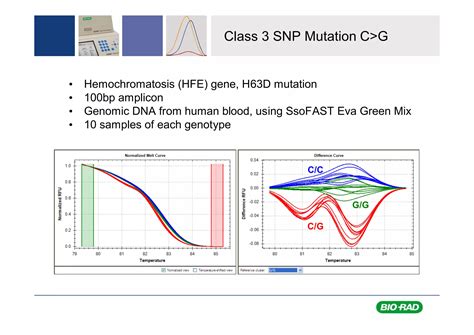 Introduction To High Resolution Melt Analysis Pdf