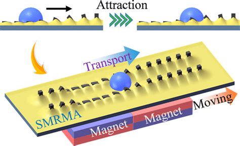 Active Droplet Transport Induced By Moving Meniscus On A Slippery Magnetic Responsive
