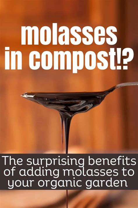 How To Use Molasses In Compost And Fertilize Your Garden The Compost Culture