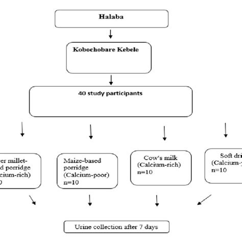 flowchart showing sampling and treatments download scientific diagram