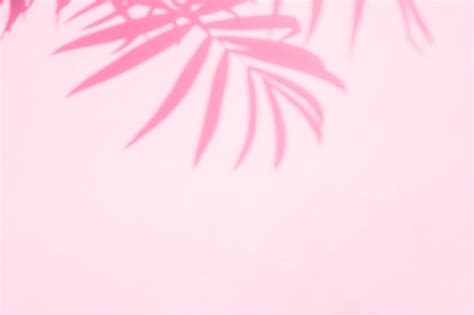 밝은 복숭아 배경에 열대 식물의 잎의 그림자 비바 마젠타 배경입니다 복사 공간 상위 뷰 0명에 대한 스톡 사진 및 기타 이미지 Istock