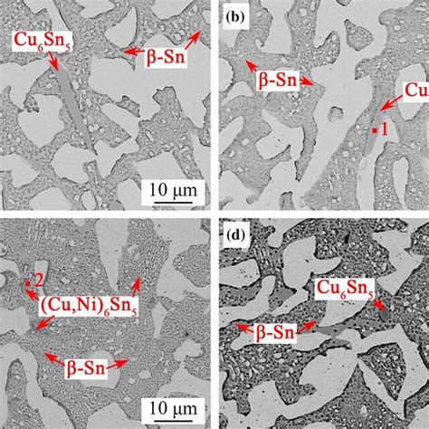 Microstructure Of Snbi Cu Solders After Thermal Cycling A 0 Cycles