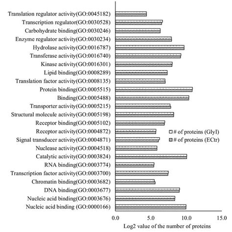 Go Term Classification Of Molecular Functions Of Glyi A And Ectr B Download Scientific