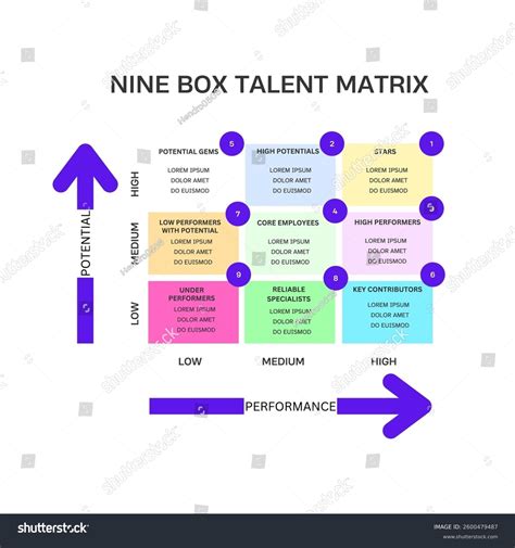 9 Box Talent Matrix Valuable Tool Assessing Stock Vector Royalty Free