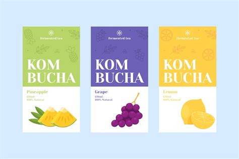 손으로 그린 콤부차 라벨 컬렉션 프리미엄 벡터