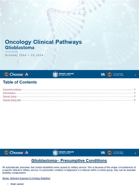 Glioblastoma Clinical Pathways V2 2024 Pdf Glioma Arabian Peninsula