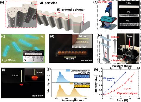 Ml And Pl Properties Of The 3d‐printed Polymer A Schematic Download Scientific Diagram