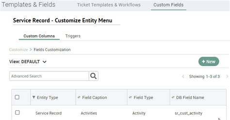 custom fields