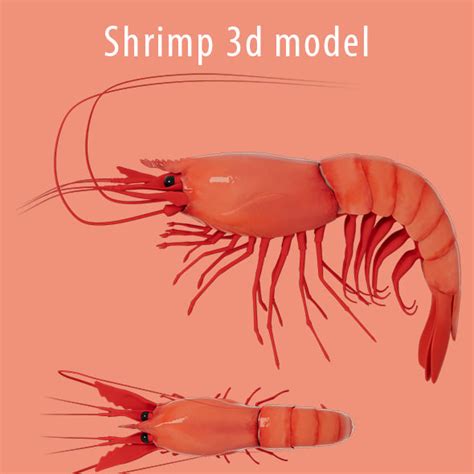 3docean 3d Print Files And Cg Textures