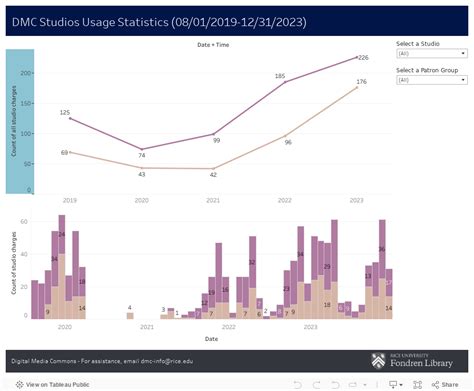 dmc usage data visualization fondren library