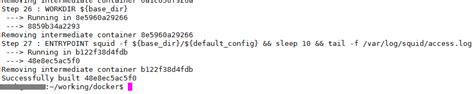 Kata Zen 0141 Docker Enabled Squid Proxy With Both Basic And Digest