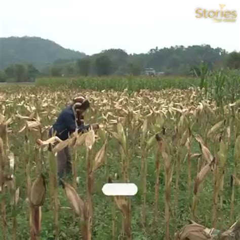 Subhasis Chakraborty On Linkedin Very Much Inspiring Story