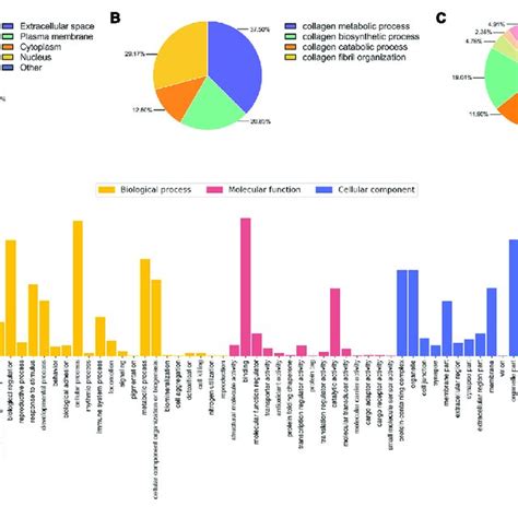 Mass Spectrometry Based Quantitative Proteomic Analysis Of Acf And