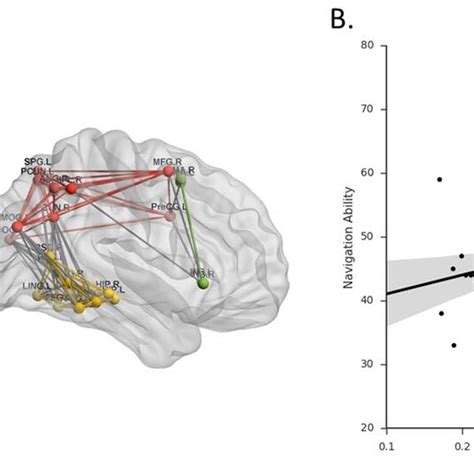 Navigation Networks And Behavioral Performance Download Scientific