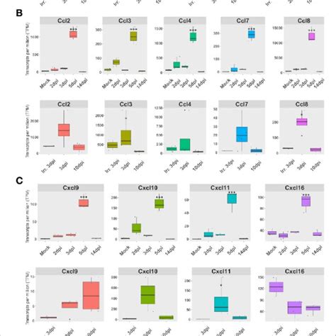 The Expression Of A Set Of Fcgr And Cytokines Mainly Expressed In Lung