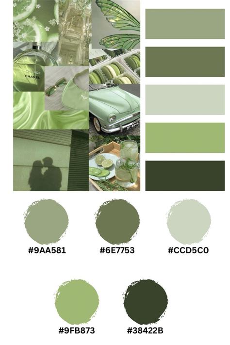 Pastel Green Aesthetic Wall Collage Hex Codes Hex Color Palette Green Aesthetic Color