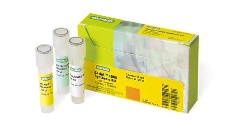 Iscript Cdna Synthesis Kit Protocol At Lisa Delarosa Blog