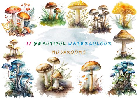 Watercolour Woodland Forest Mushrooms Autumn Clipart Etsy
